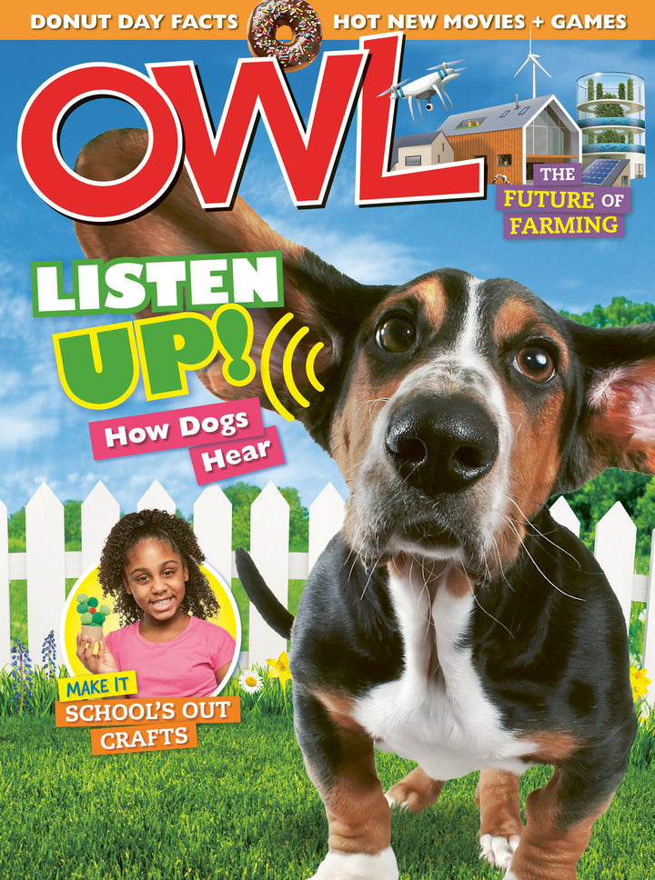 Single Issues – Owlkids